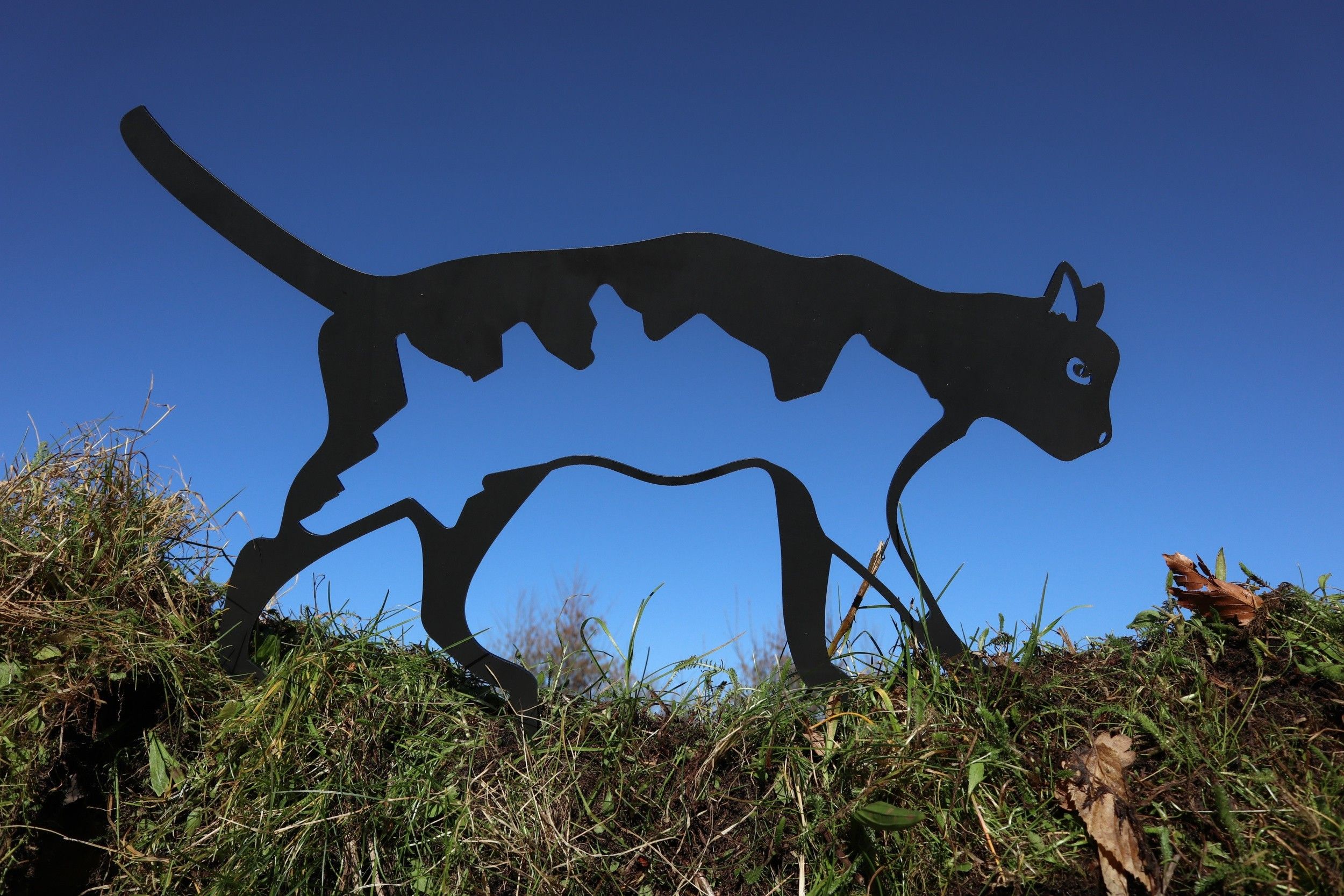 Beeld Cortenstaal - Kat - voor in de tuin | Tuinmaak.nl